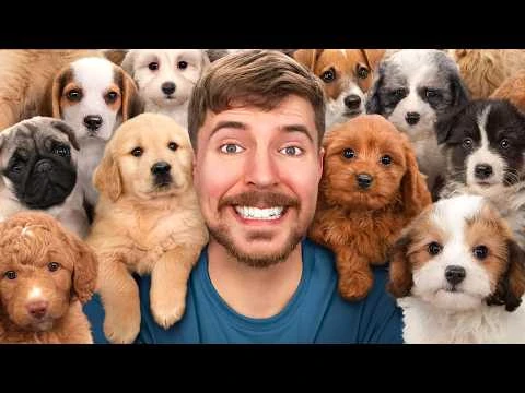 I Adopted 100 Dogs! | MrBeast Wiki | Fandom