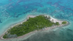 Jeff | MrBeast Wiki | Fandom