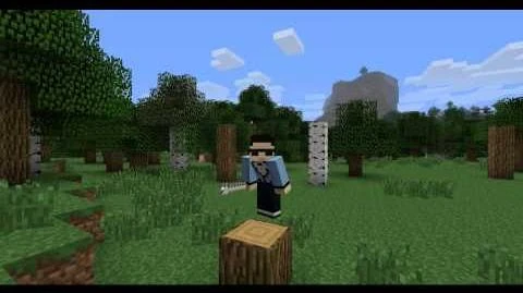 Most Epic minecraft skin EVER (Psy) | MrBeast Wiki | Fandom