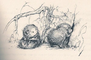 Furtle | Mistmantle Chronicles Wiki | Fandom