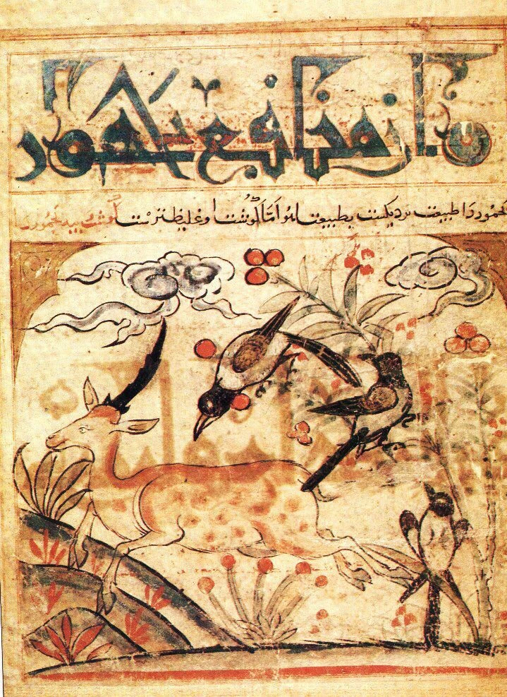 Shadhavar | Wiki Mitología | Fandom