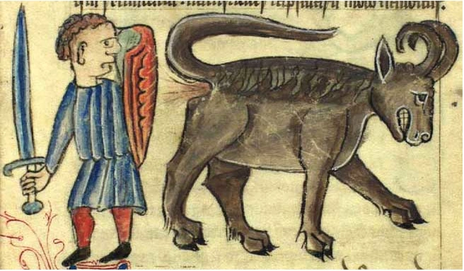 Bonnacon | Wiki Mitología | Fandom