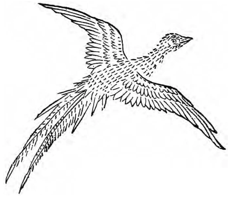 Jingwei | Wiki Mitología | Fandom