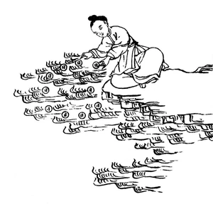 Xihe | Wiki Mitología | Fandom