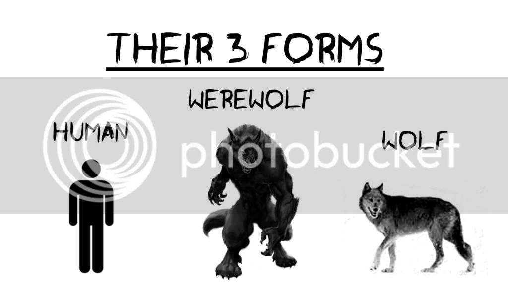 Raças de Lobisomens | Mitologia Licantrópica Wiki | Fandom