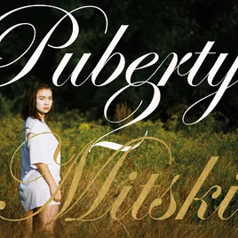 Fireworks | Mitski Wiki | Fandom