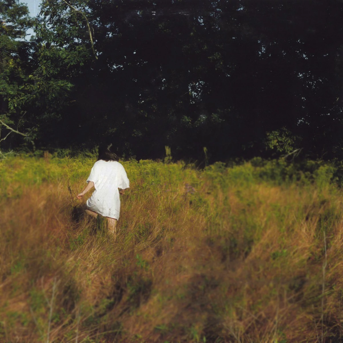 Patrick Hyland | Mitski Wiki | Fandom
