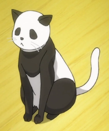 Colonel Monochrome | Mitsuboshi Colors Wiki | Fandom