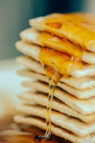 Honig | Mittelalter Wiki | Fandom