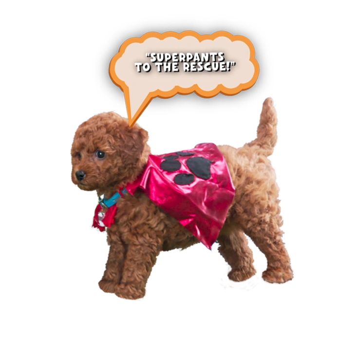 Pants | Mittens & Pants Wiki | Fandom