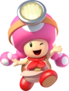 Toadette | Mixed Adventure Wiki | Fandom