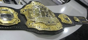 List of UFC champions | EDGE MMA | Fandom