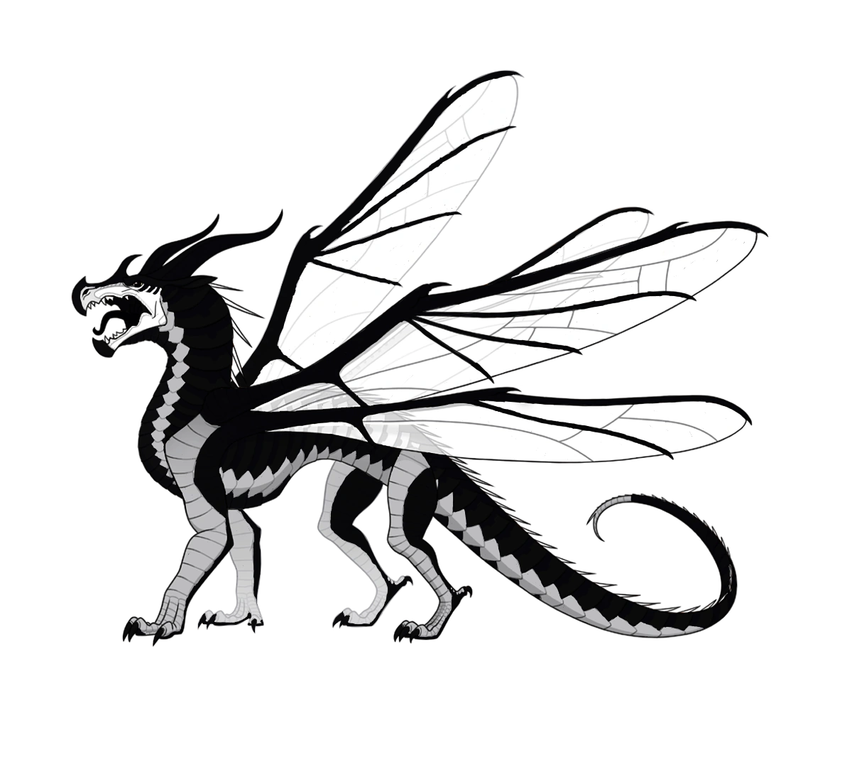 Bald | Mizzbella's WOF OCs Wiki | Fandom