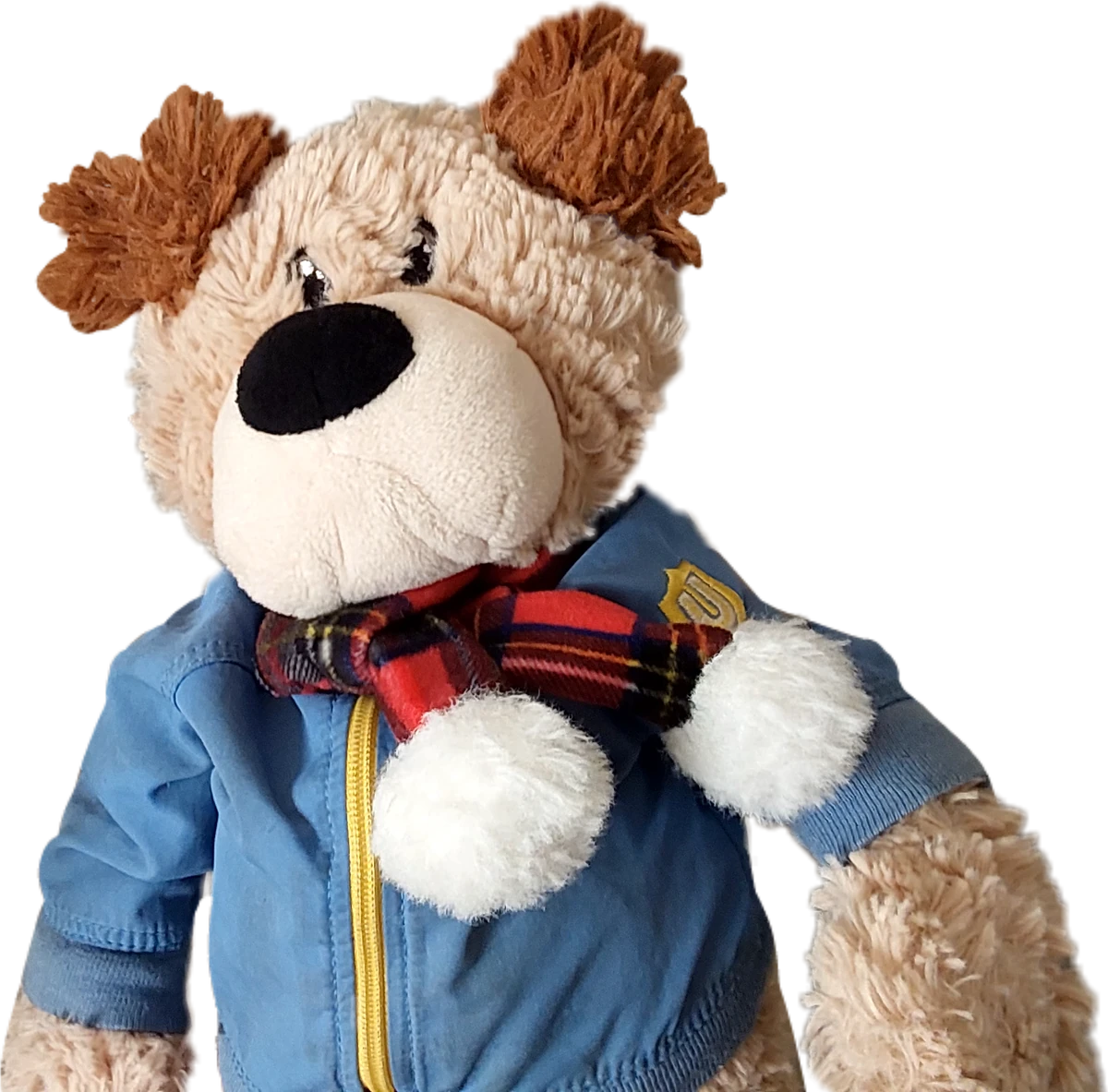 Teddy | MJP Wiki | Fandom