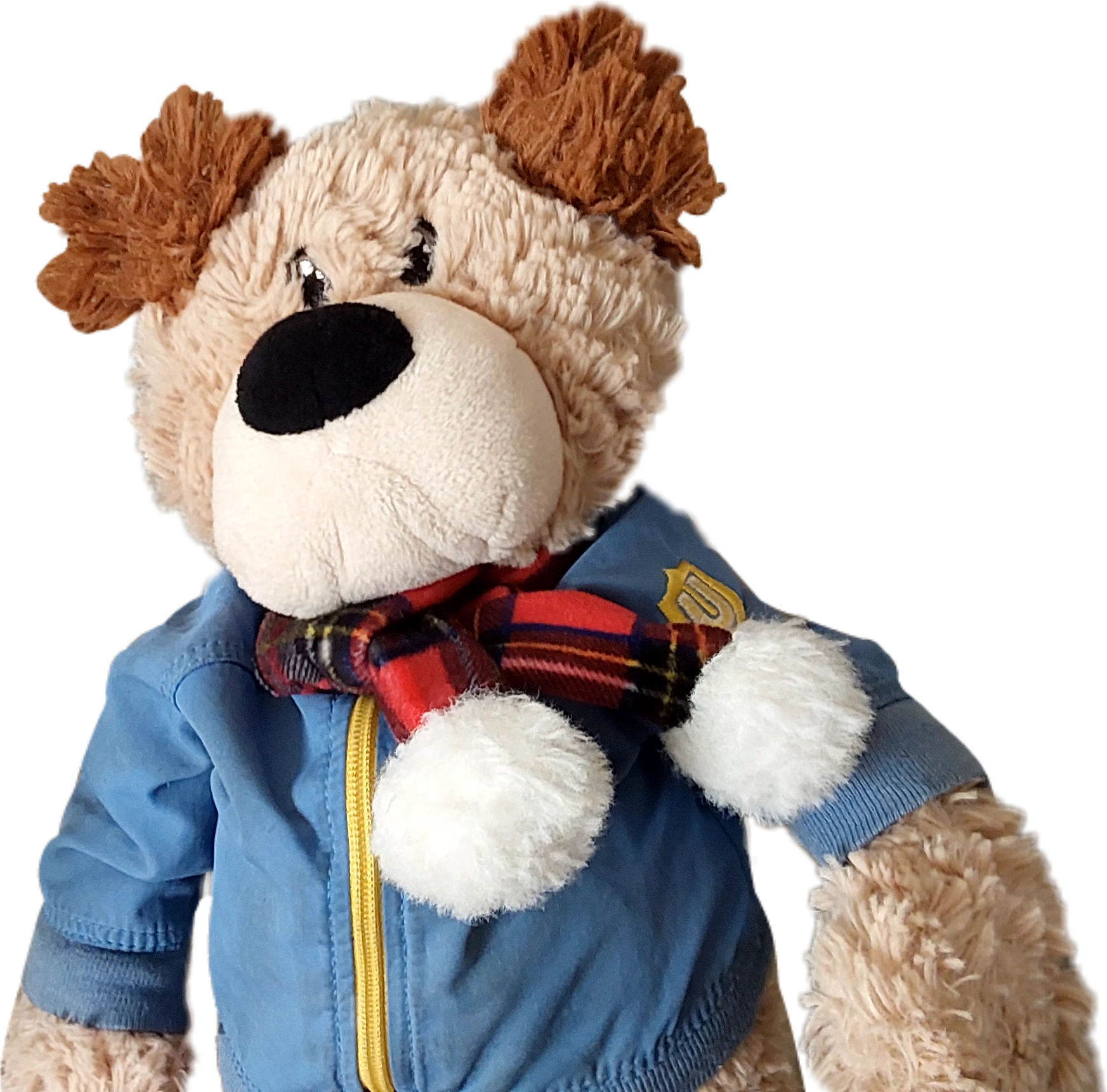 Teddy | MJP Wiki | Fandom