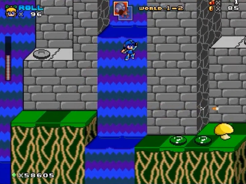 Mushroom | Mushroom Kingdom Fusion Wiki | Fandom