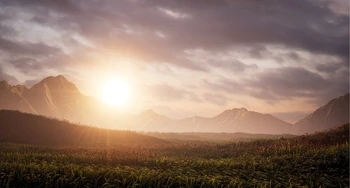 The Field | Mortal Kombat Wiki | Fandom