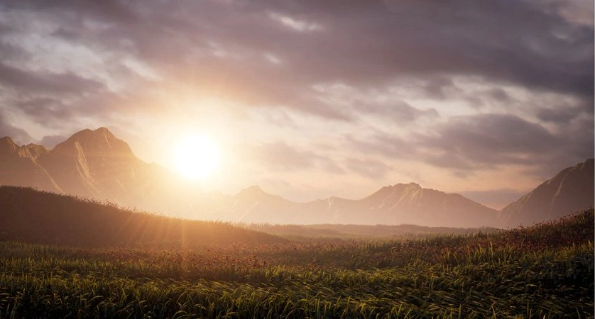 The Field | Mortal Kombat Wiki | Fandom