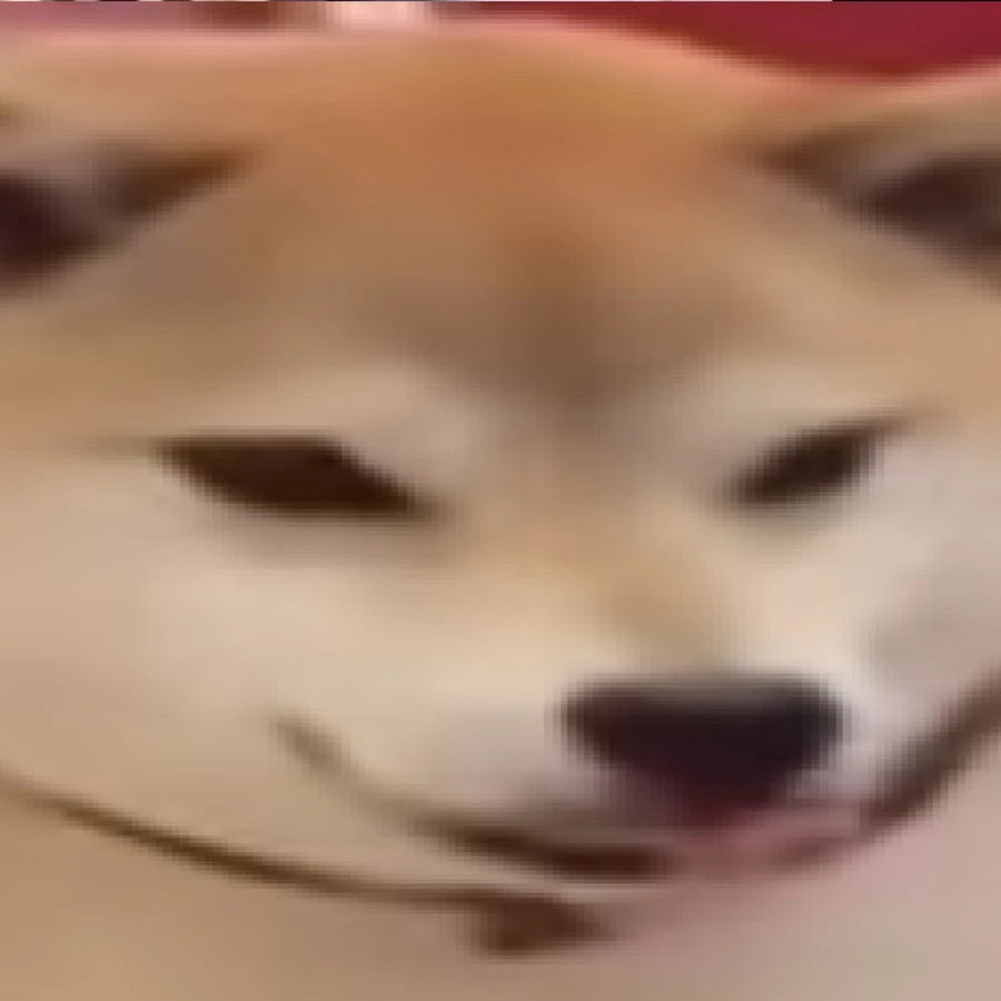 Doctor Mlem | Mlem Boys Wiki | Fandom