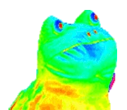 Rainbow Frog | MLG Parody Wikia | Fandom