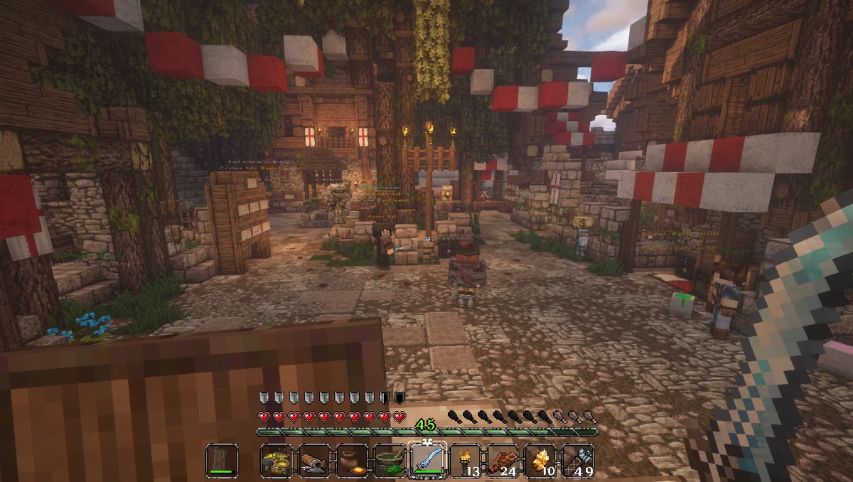 Lowtown | Medieval Lords of Minecraft Wiki | Fandom