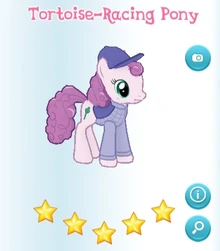 Tortoise-Racing Pony | The My Little Pony Gameloft Wiki | Fandom