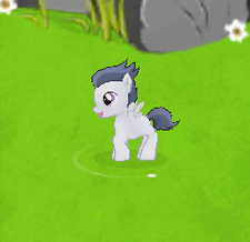 Rumble | The My Little Pony Gameloft Wiki | Fandom