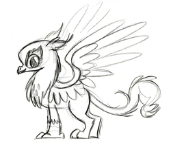 Griffons | My Little Pony Friendship is Magic Wiki | Fandom