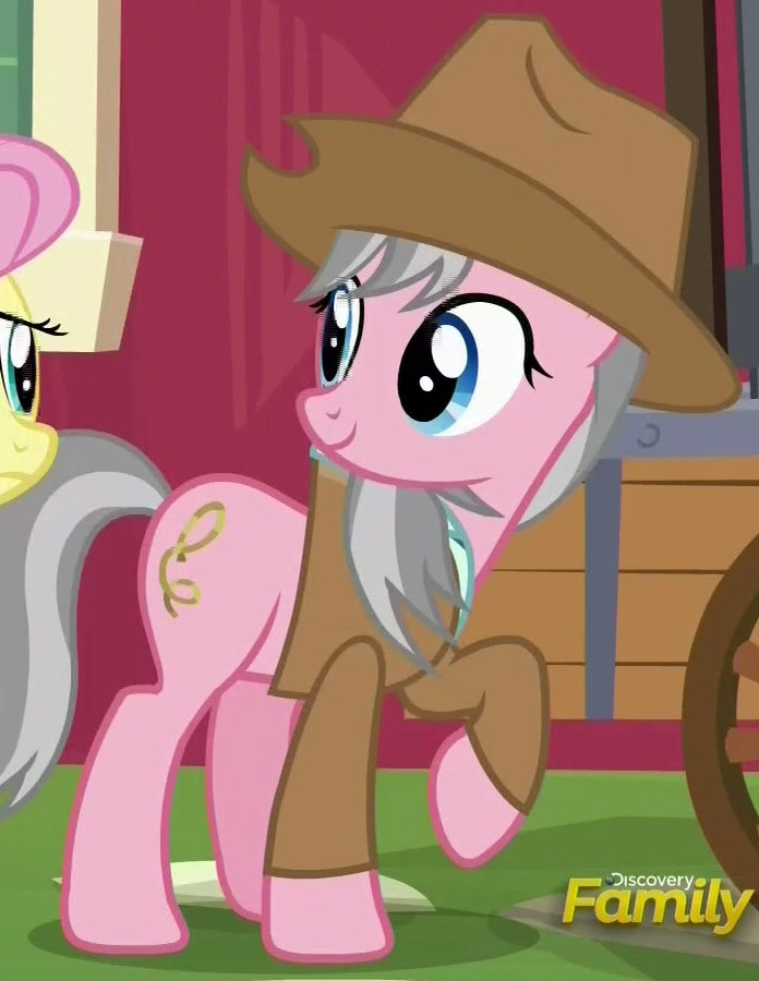 Wrangler | My Little Pony Wiki | Fandom