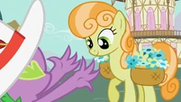 Junebug/Gallery | My Little Pony Friendship is Magic Wiki | Fandom