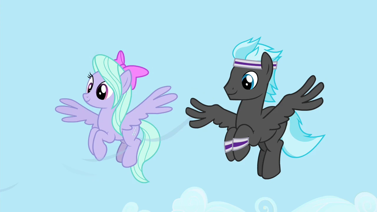 mlp flitter and cloudchaser