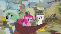Greta | My Little Pony Friendship is Magic Wiki | Fandom