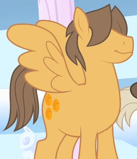 Hoops | My Little Pony: La Magia de la Amistad Wiki | Fandom