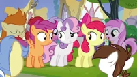 Bowler Ponies/Gallery | My Little Pony Friendship is Magic Wiki | Fandom