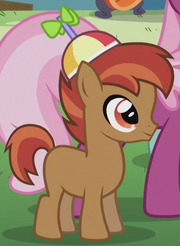 Button Mash | My Little Pony Friendship is Magic Wiki | Fandom