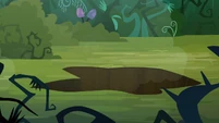 Mirror Pool | My Little Pony Friendship is Magic Wiki | Fandom