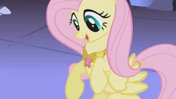 mlp coloring pages filly fluttershy wiki