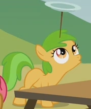 Apple Squash | My Little Pony Wiki | Fandom