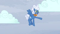 Weather Control Pegasi/Gallery | My Little Pony Friendship is Magic ...