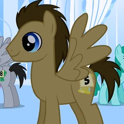 Mlp Background Characters