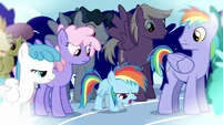 Rainbow Blaze | My Little Pony Friendship is Magic Wiki | Fandom