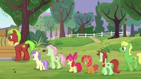 Florina Tart/Gallery | My Little Pony Friendship is Magic Wiki | Fandom