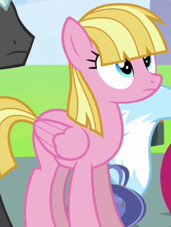 Meadow Flower | My Little Pony Wiki | Fandom