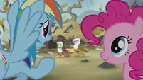 Greta | My Little Pony Friendship is Magic Wiki | Fandom