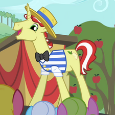 Flim and Flam | My Little Pony Friendship is Magic Wiki | Fandom
