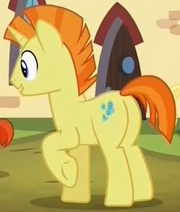 Sunburst's family | My Little Pony Friendship is Magic Wiki | Fandom