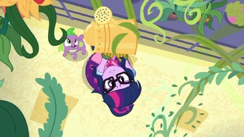 El Espacio Ideal | My Little Pony: La Magia de la Amistad Wiki | Fandom