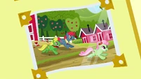 Apple Split/Gallery | My Little Pony Friendship is Magic Wiki | Fandom