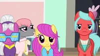 Pursey Pink/Gallery | My Little Pony Friendship is Magic Wiki | Fandom