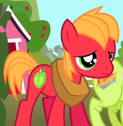 Big Mac Pony Human